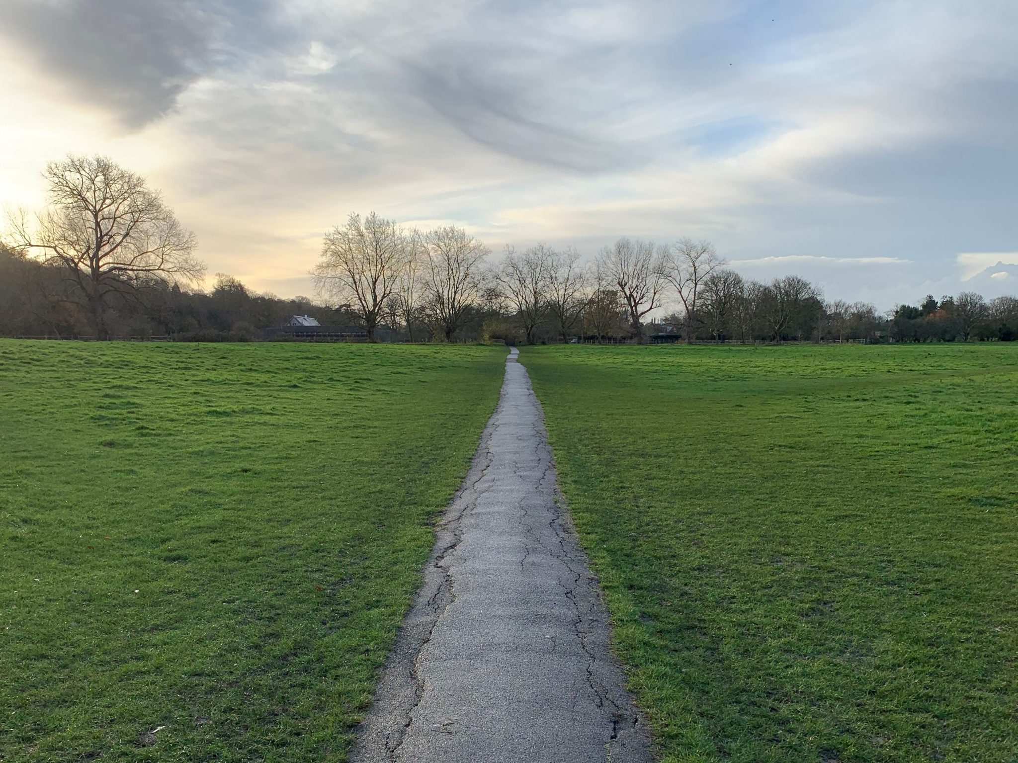 Company - MAVITUNA & Co